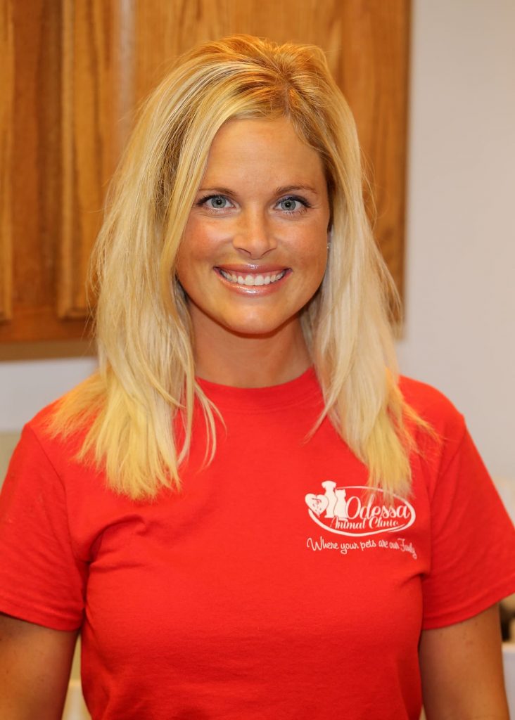 Our Veterinary Team | Croucher Veterinary Services